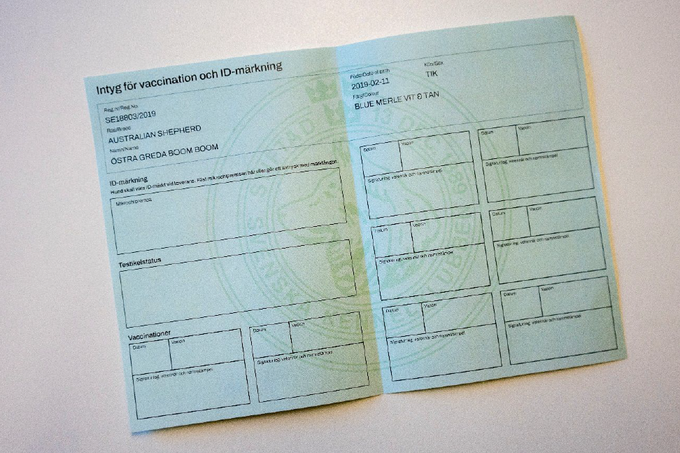 Digitala registreringsbevis