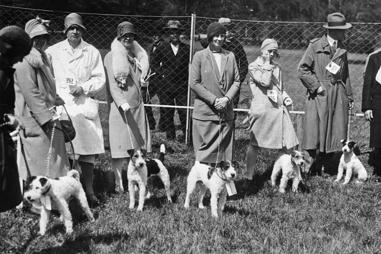 1920-talet