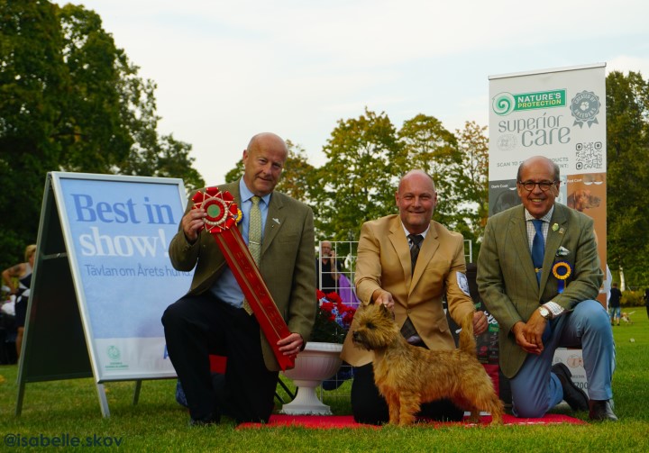 Förlängd anmälningstid till Nordic Dog Show Högbo Bruk